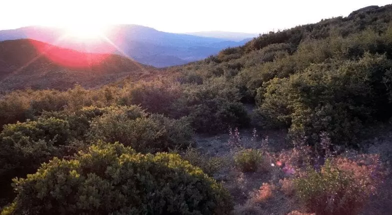 Դրականություն