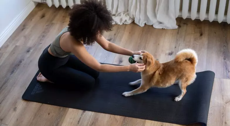 Yoga mat Ärem Hond: 5 Gesondheet Virdeeler