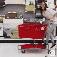 Black Friday Shopping GIF vum Target